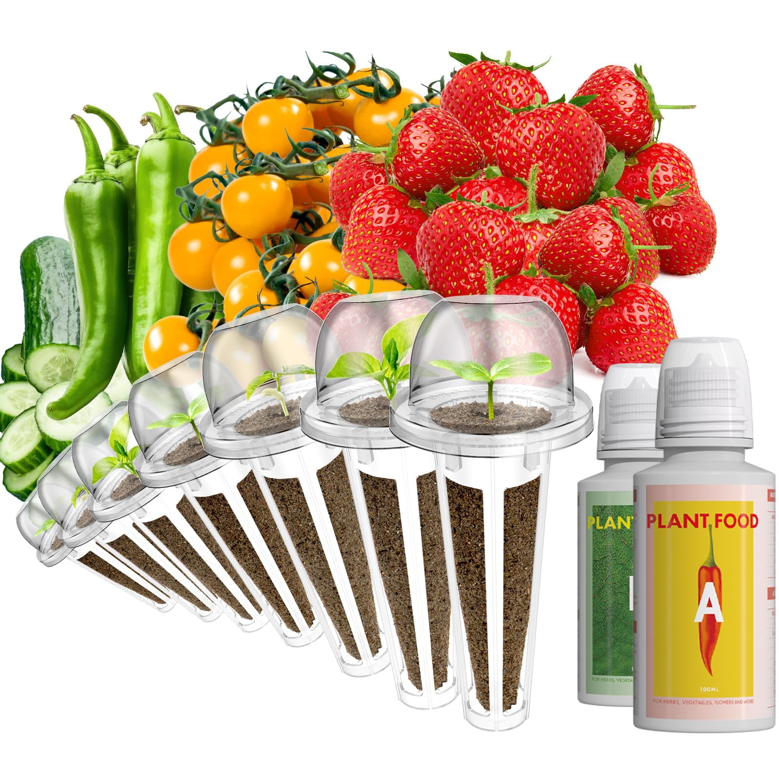 LYKOCLEAN Fruit Seed Kit for AeroGarden, ITL1 iDOO Hydroponics System ...
