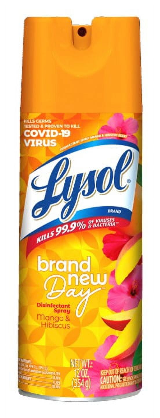 LYSOL® Disinfectant Spray - Brand New Day Mango & Hibiscus 12/12.5 oz ...