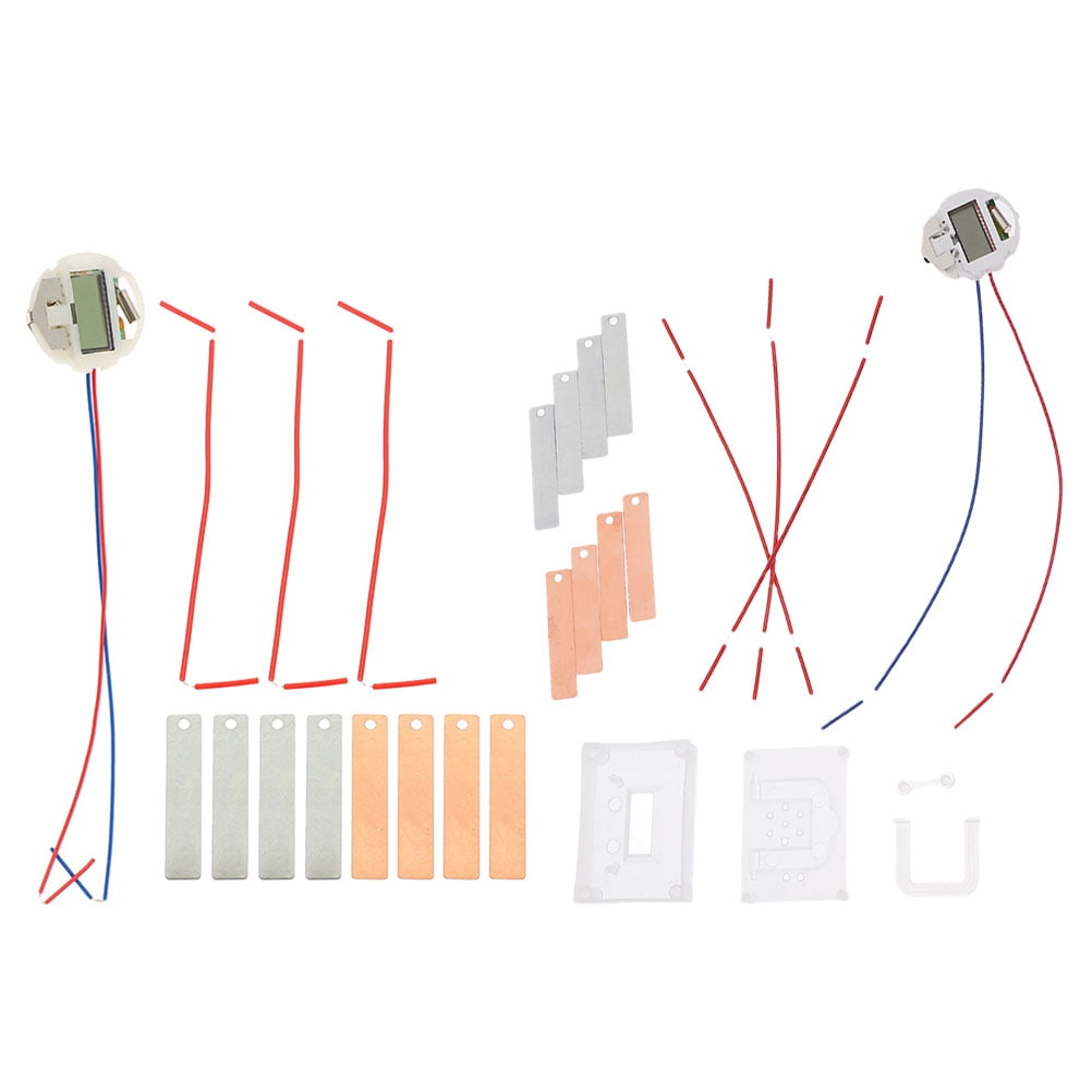 LYTMENT 2 Sets Diy Fruit Battery Science Experiment Kit For Students ...