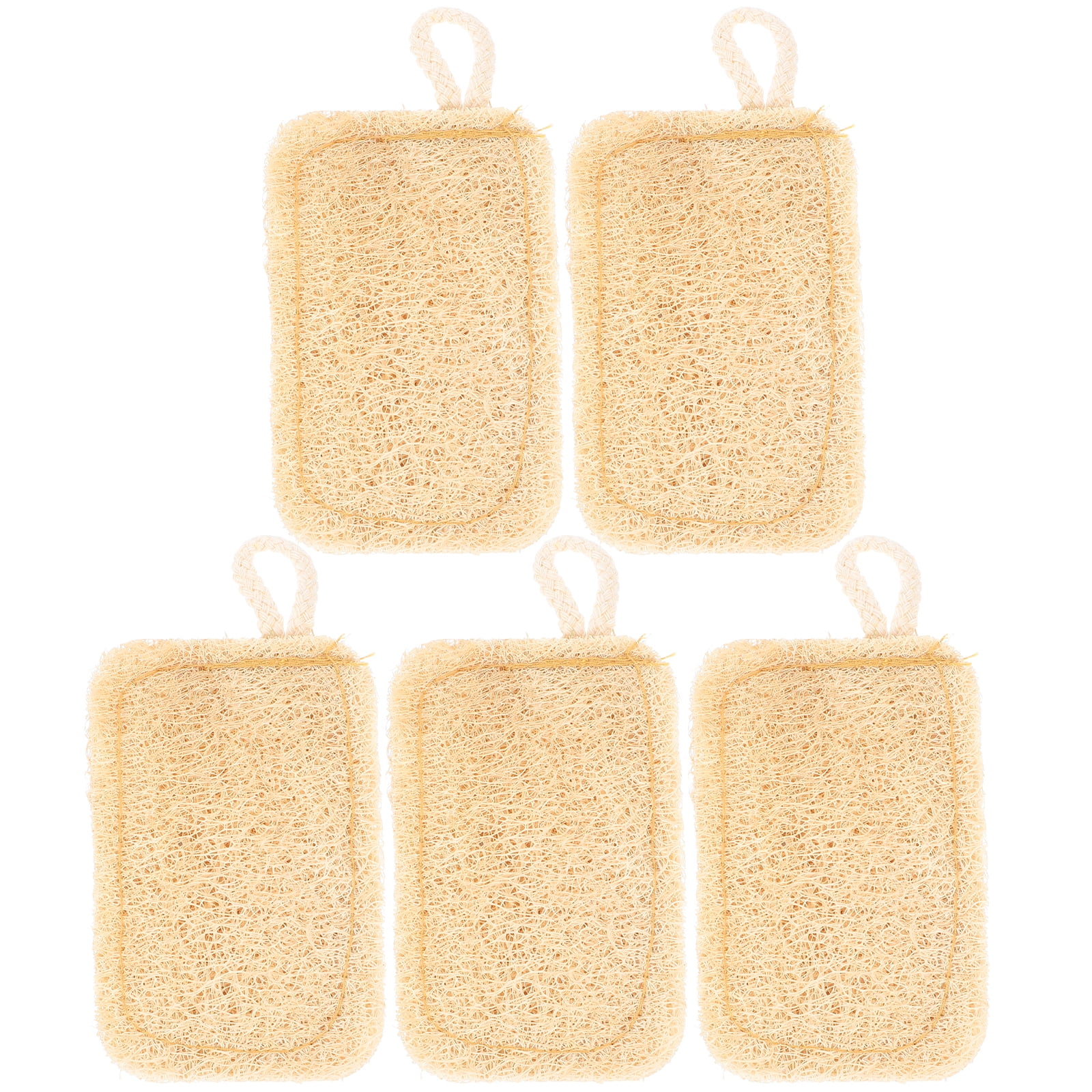 LYTMENT 5pcs Natural Loofah Dish Brushes Chemical-Free Dish Washing ...