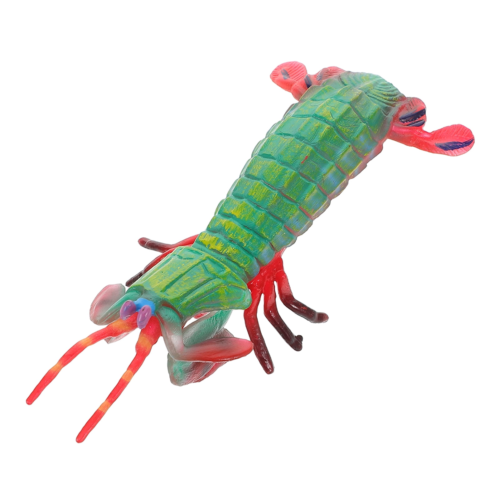 LYTMENT Realistic Mantis Shrimp Model for Kids Simulation Marine Animal ...