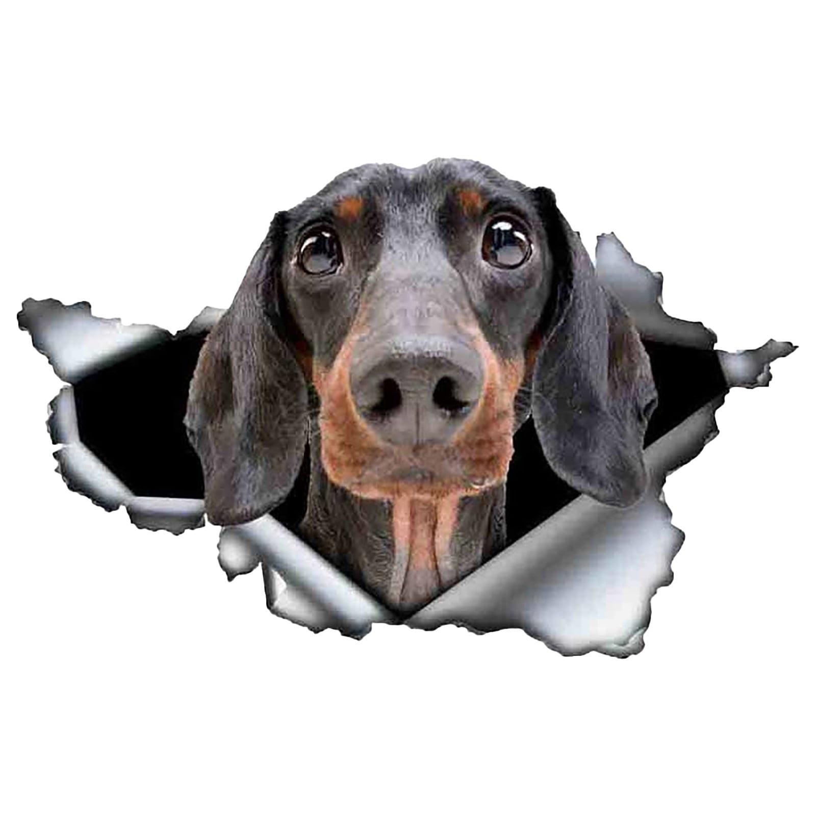 LYTiang Car Stickers Simple And Delicate Design Suitable For All ...