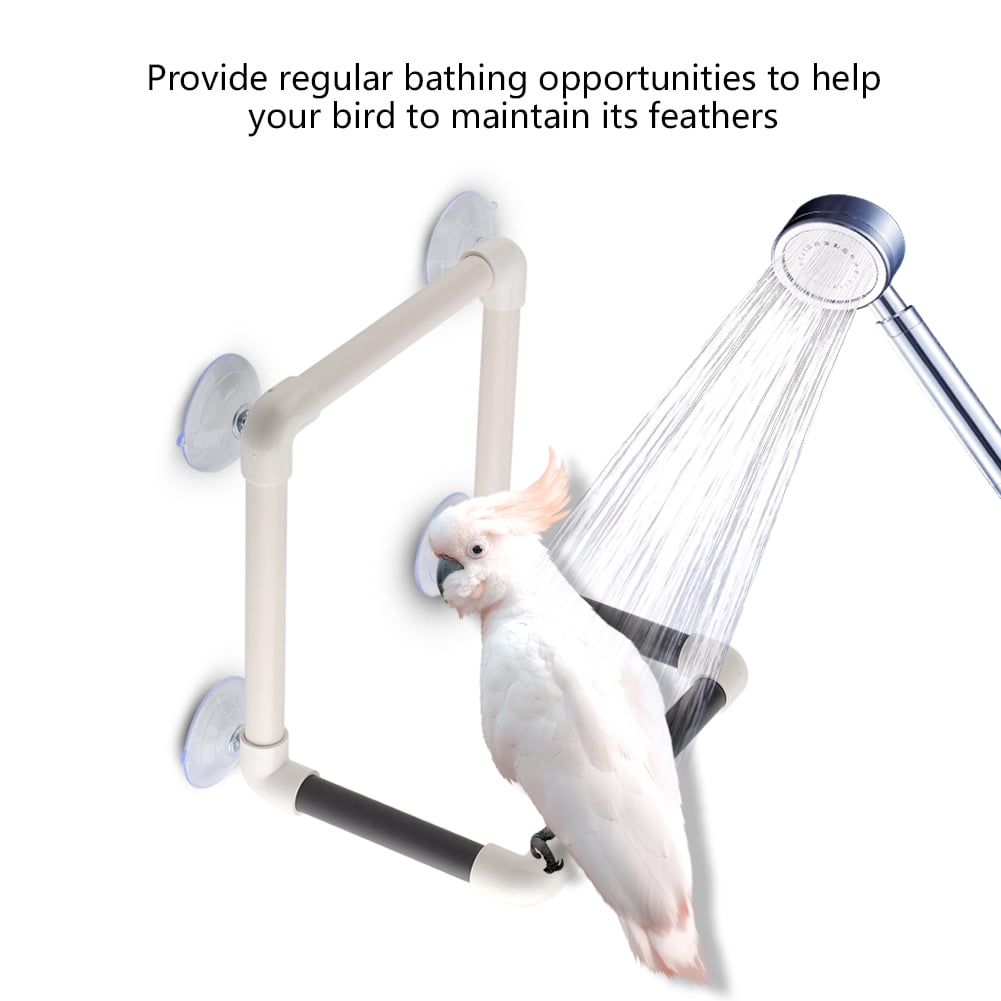 LYUMO Portable Parrots Birds Perch with Suction Cups Window Shower Bath ...