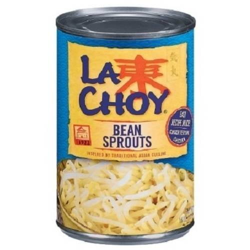 La Choy Bean Sprouts, Canned Vegetables, 14 oz Can - Walmart.com