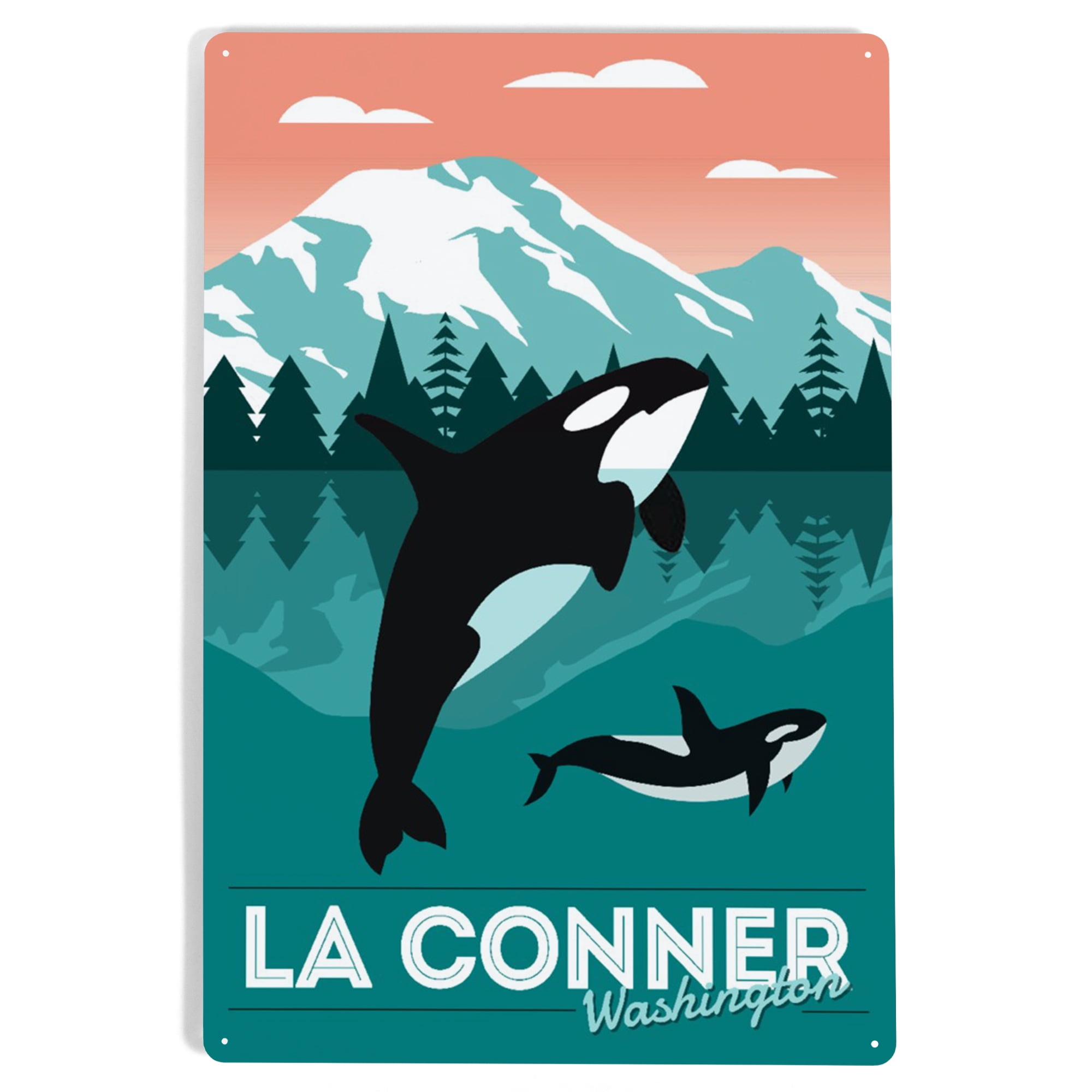 La Conner, Washington, Orca Whale and Calf, Vector (12x18 Aluminum Art ...