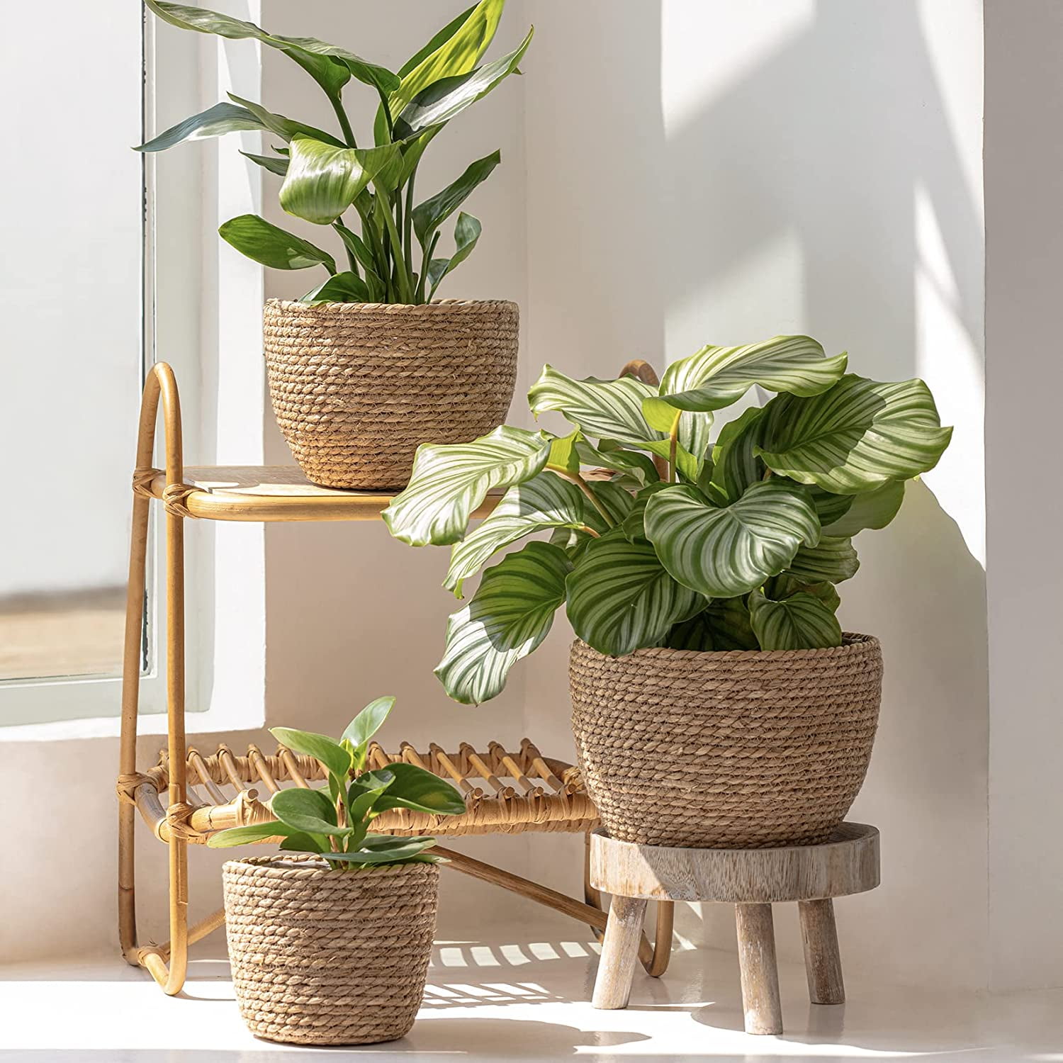 La Jolíe Muse Seagrass Planter Basket Indoor, Flower Pots Cover, Plant ...