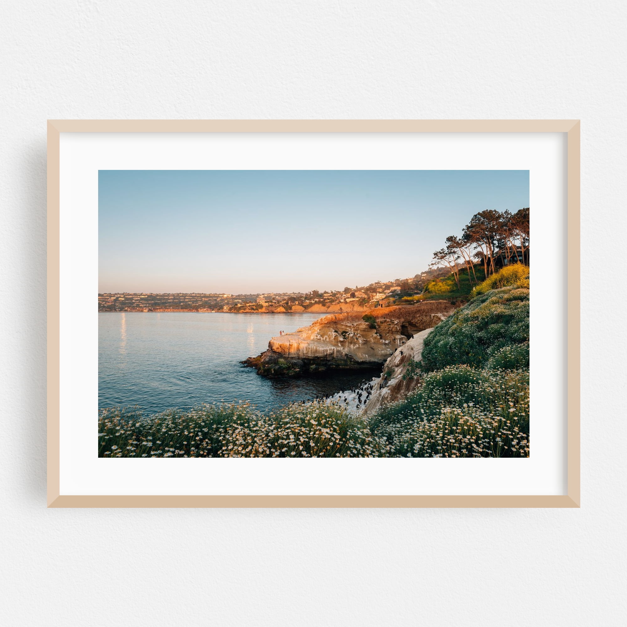 La Jolla Cove 02 - La Jolla California Photography Oak Framed Wall Art ...