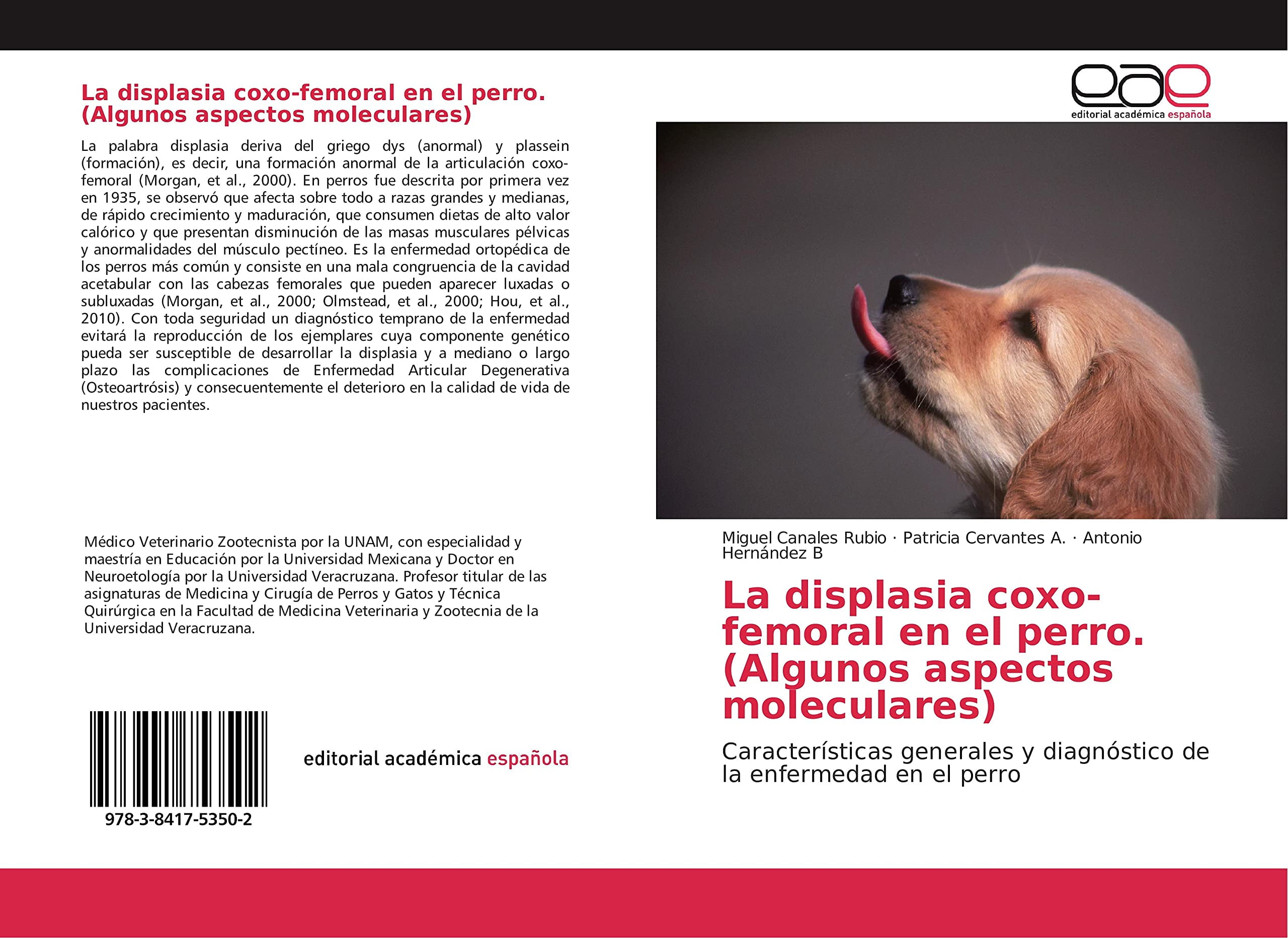 La displasia coxo-femoral en el perro. (Algunos asp Miguel Canales Rubio,Antonio H (Paperback ...