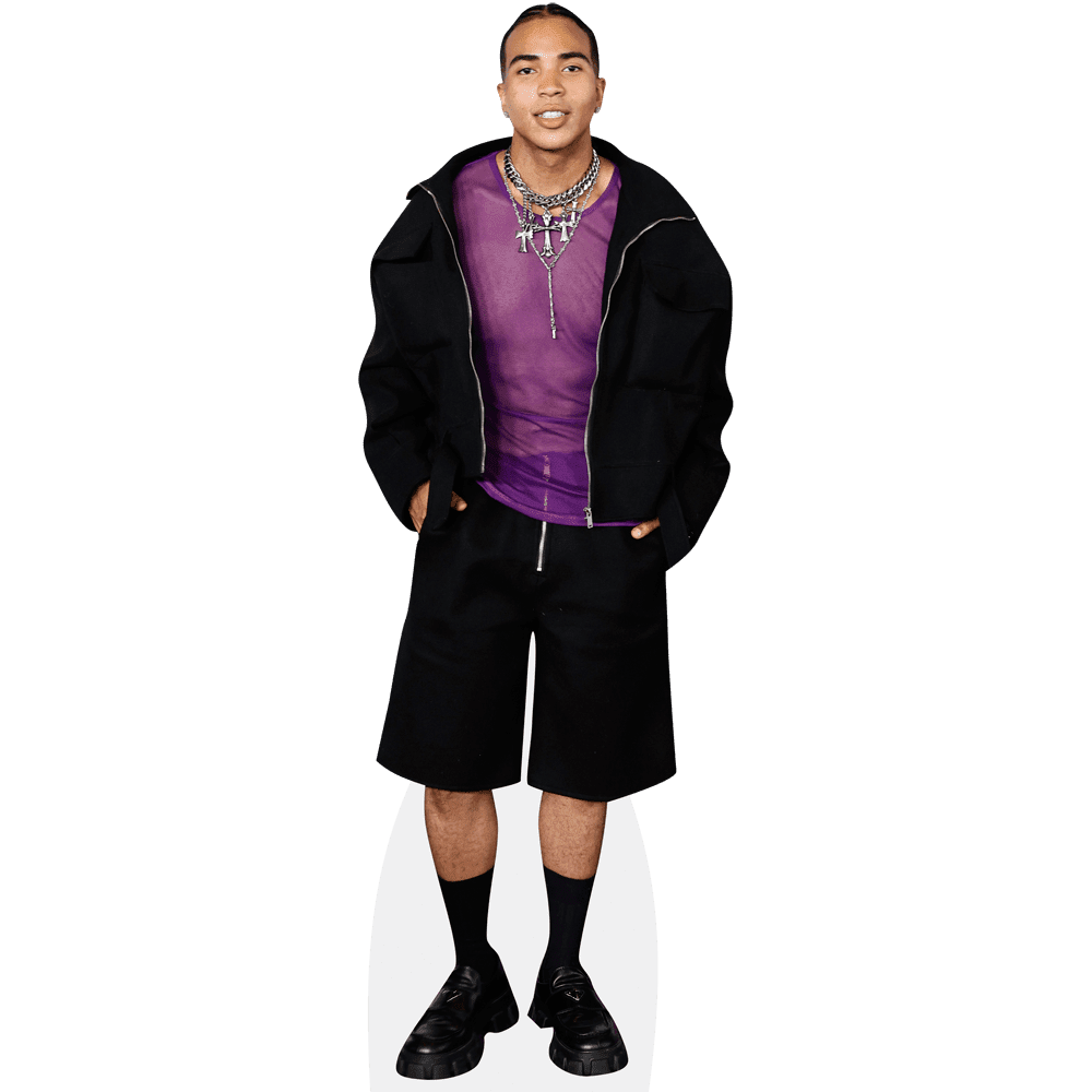 La'ron Hines (Purple Top) Mini Size Cutout. Standee. - Walmart.com