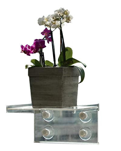 LaBrinx Designs Suction Cup Shelf - Live Plants, Windows, and Bathrooms ...