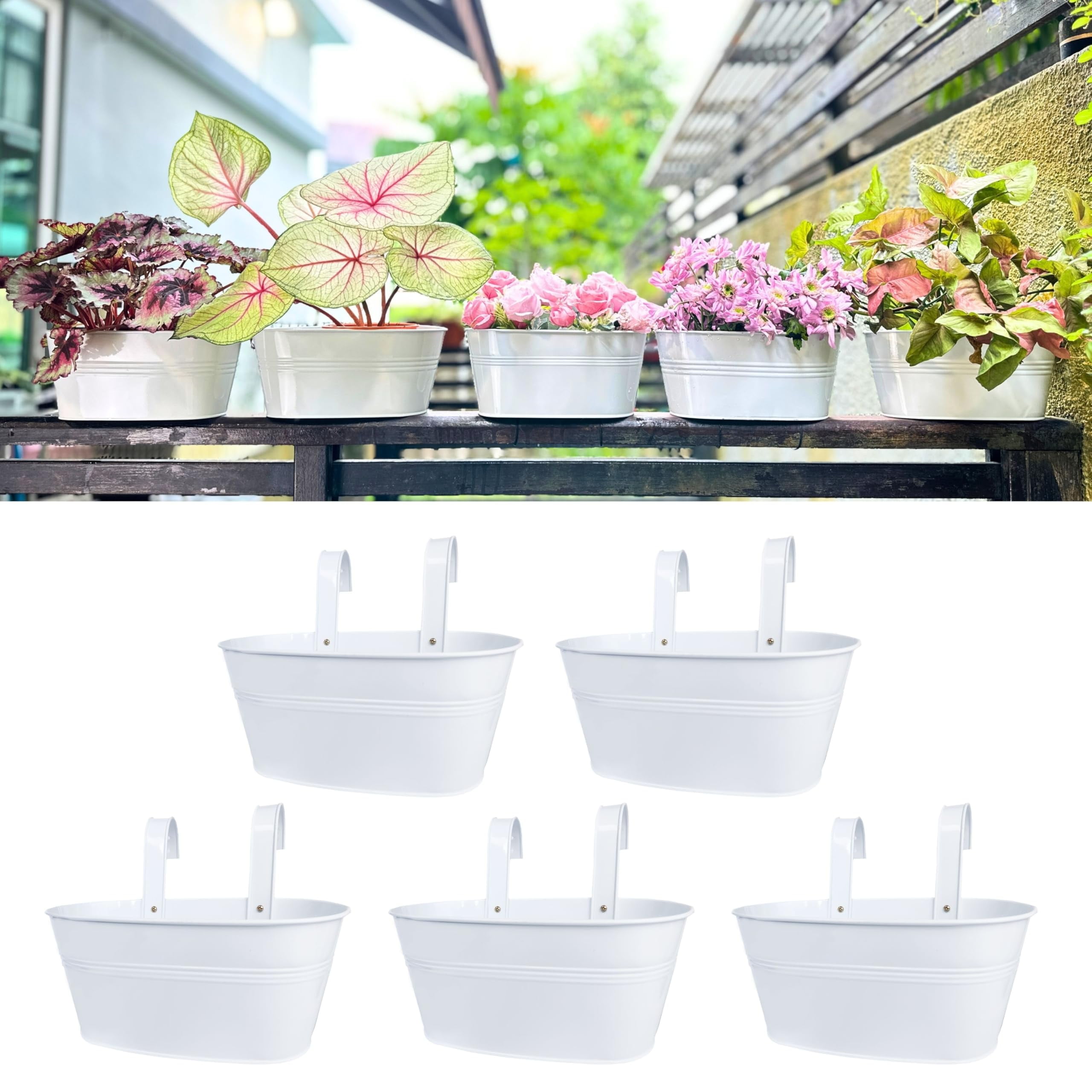 LaLaGreen Rail Planter Outdoor Plants (5 Pack, 11.8 White Metal Iron ...