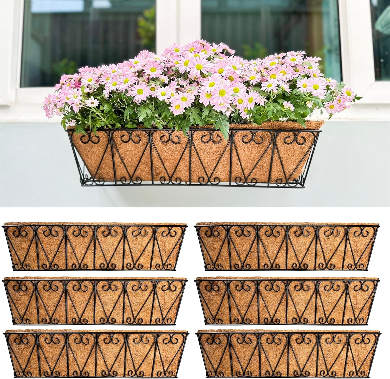 LaLaGreen Wall Planter - 6 Pack, 24 Inch Large Black Window Flower ...