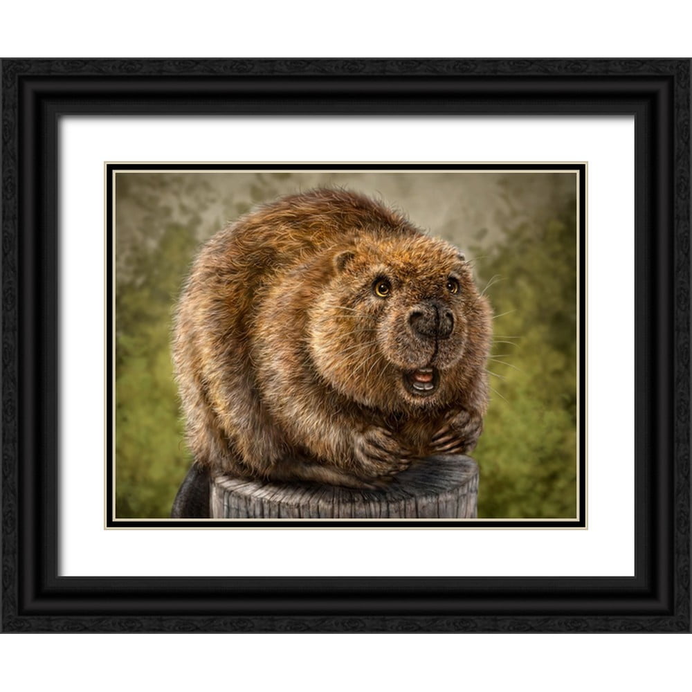 LaMontagne, Patrick 24x19 Black Ornate Wood Framed with Double Matting Museum Art Print Titled ...