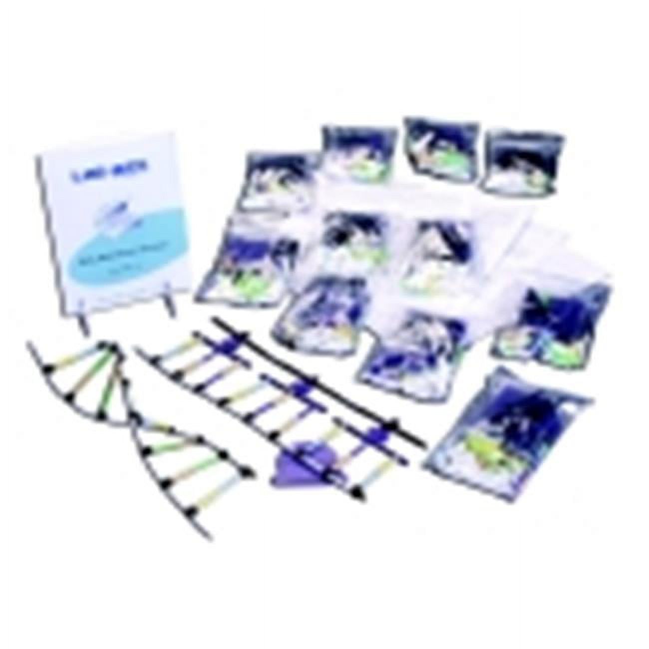 Lab-Aids Dna, Rna, And Protein Synthesis Kit - Walmart.com