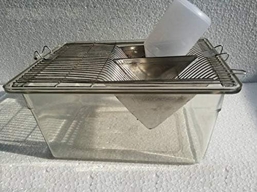 Lab Animal Cage Transparent Polycarbonate for Rat Mice & Hamster ...