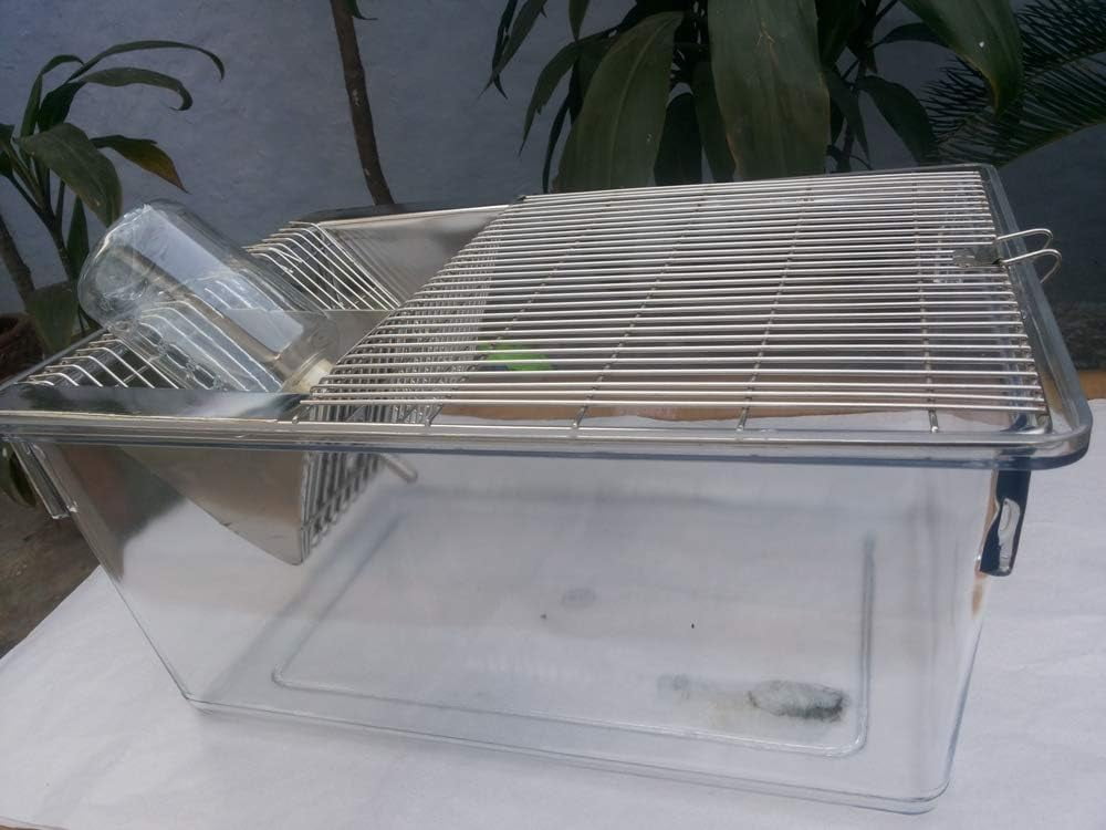 Lab Animal Cages Transparent Polycarbonate for Rat/Mice - Walmart.com