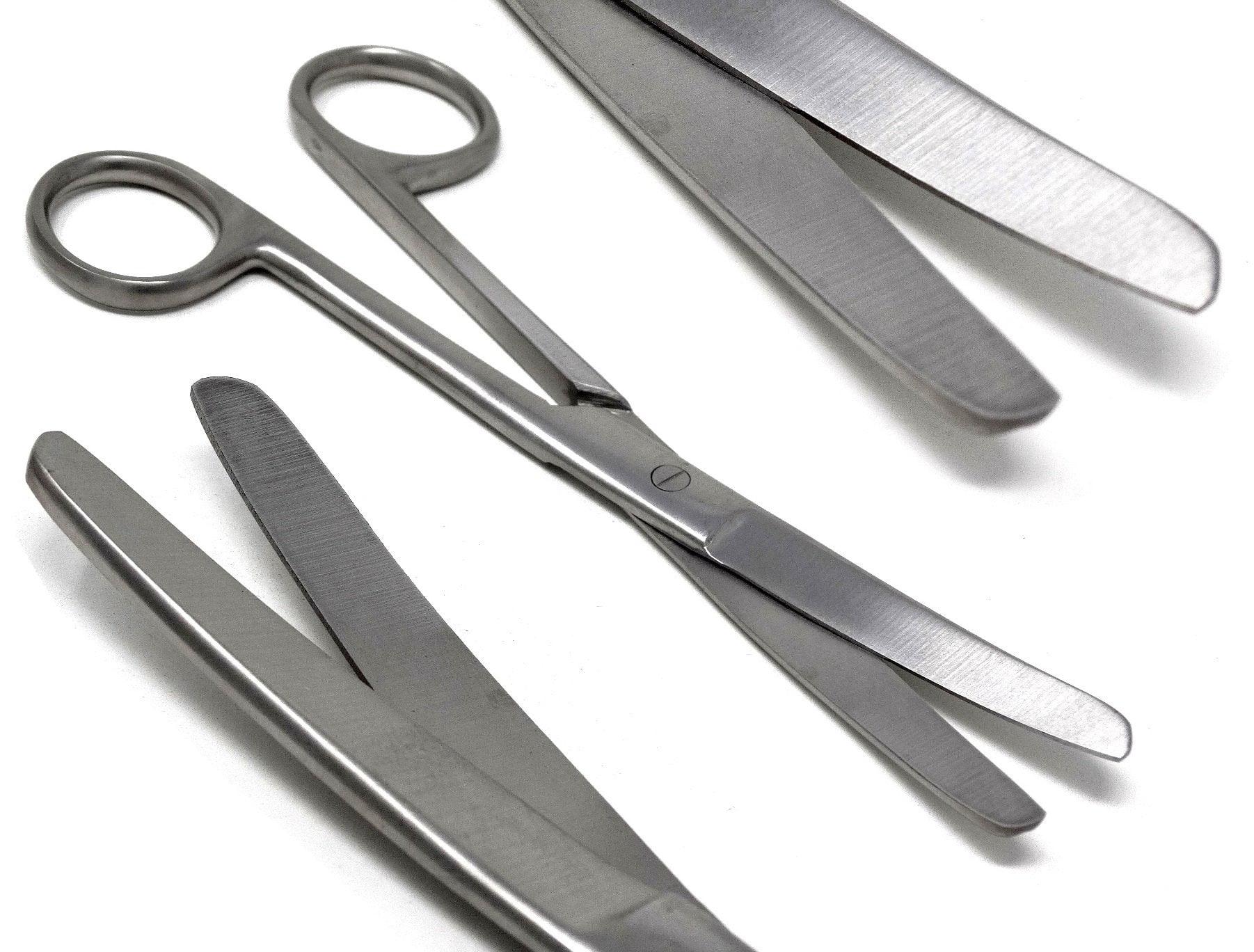 Lab Dissecting Scissors, Blunt/Blunt. 5.5", Curved, Stainless Steel ...