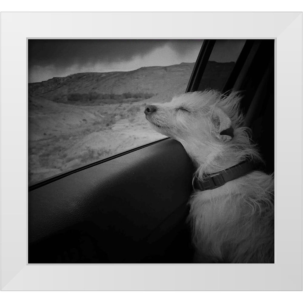 Labagnara, Roxana 22x20 White Modern Wood Framed Museum Art Print ...