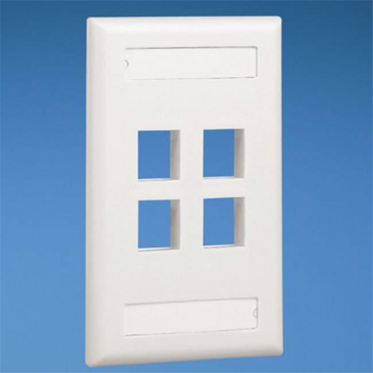 Label Electric Vertical 1-Gang 4-Port Box Mount NetKey Wallplate, Ivory ...