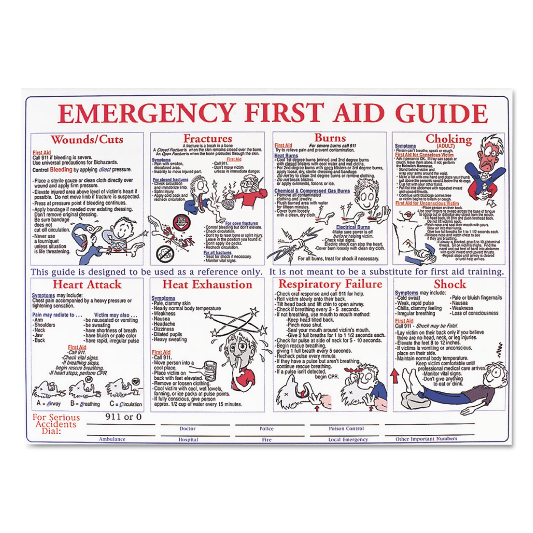 LabelMaster Emergency First Aid Guide Poster, 24 x 18 -LMTHPS128E ...
