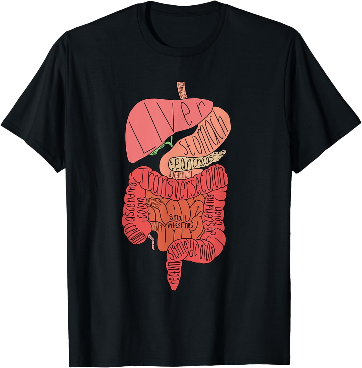 Labeled Digestive Tract T-Shirt - Walmart.com