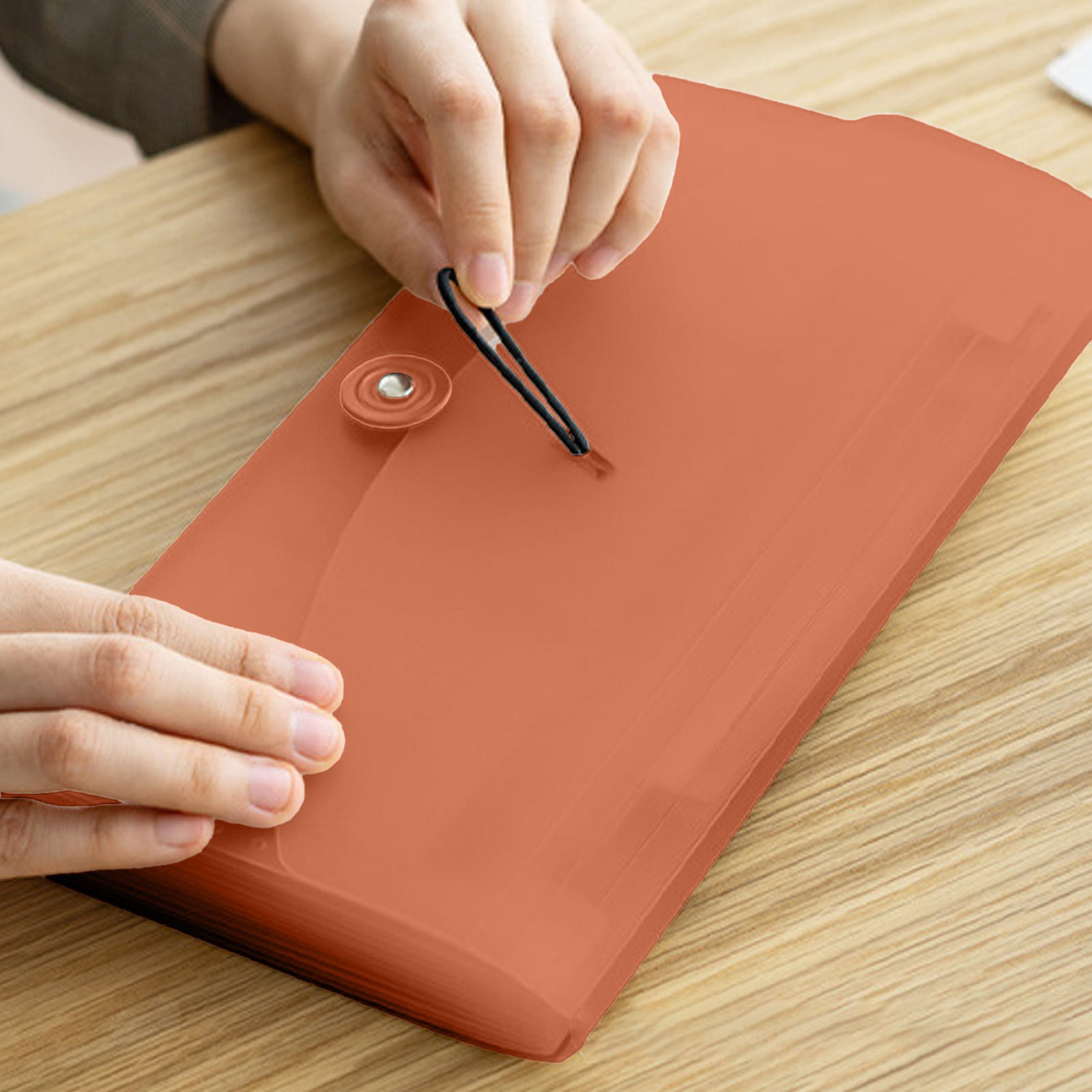 Labeled accordion file organizer, multi-section document holder ...