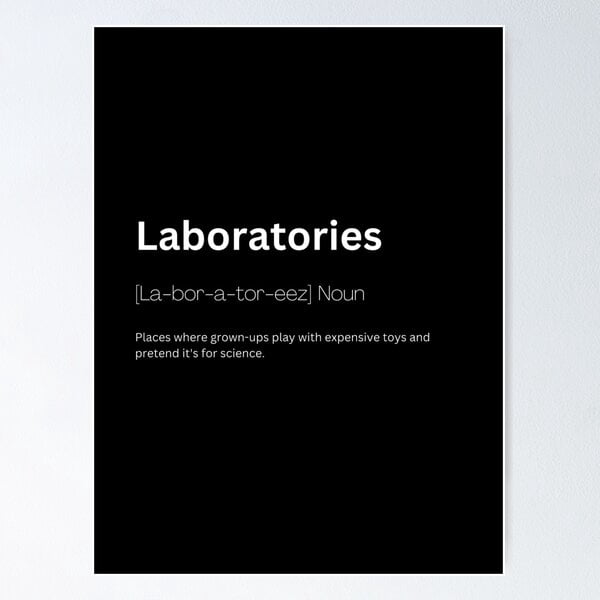 Laboratories Dictionary Definition Poster Wall Art, Modern Wall Decor ...