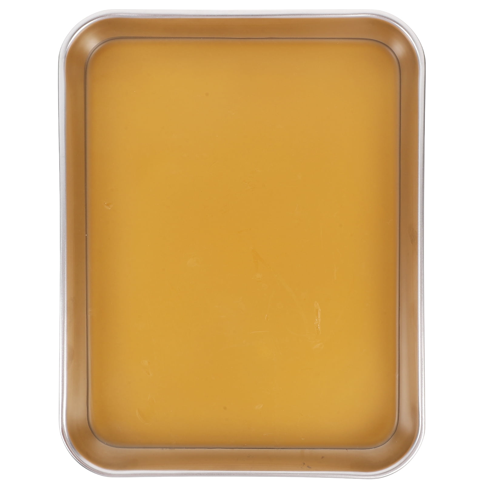 Laboratory Dissection Tray with Wax Stainless Steel Metal Dissection ...