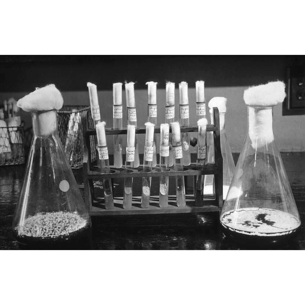Laboratory Flasks And Test Tubes Used In The Development Of Penicillin ...