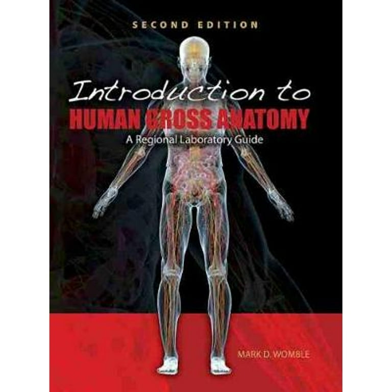 Gross Anatomy Gross Anatomy Of A Long Bone, Using A Femur With