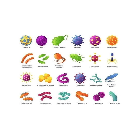 Laboratory Wall Art Scientific Illustration Poster Microbiology Chart ...