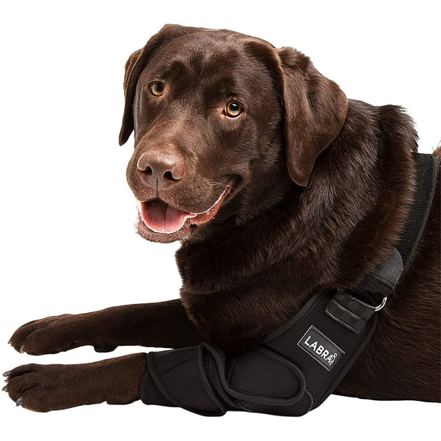 Labra Canine Shoulder Wrap (Large - Left Leg) - Walmart Business Supplies