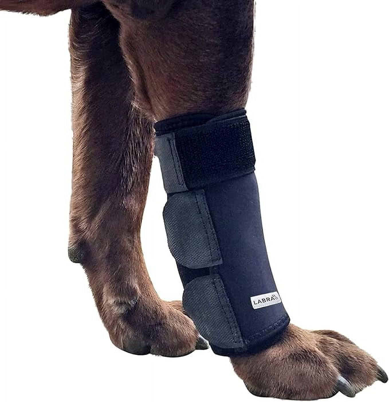 Labra Dog Canine Front Leg Compression Brace Wrap Sleeve, Protects ...