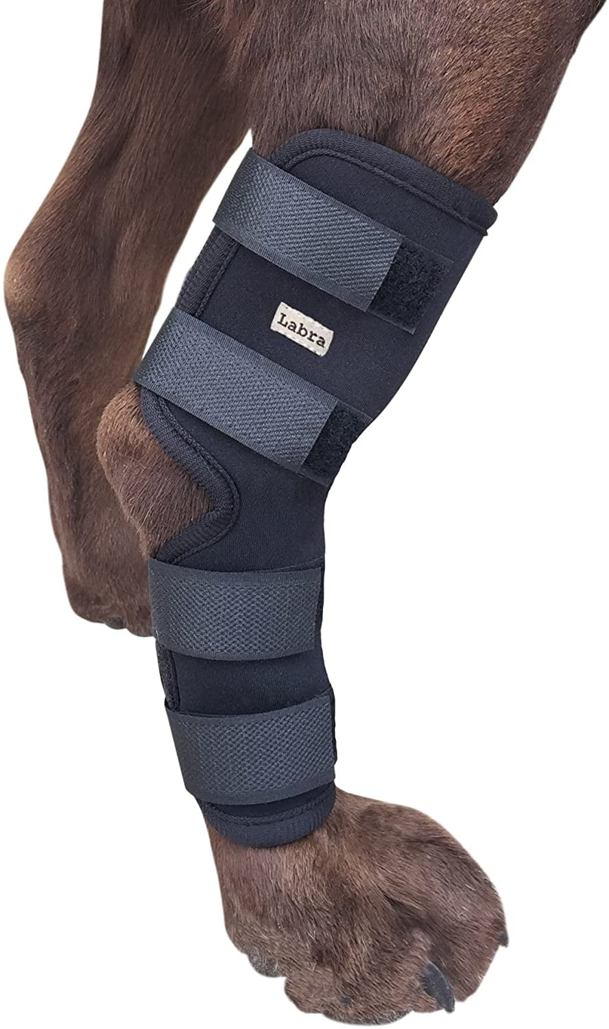 Labra Extra Supportive Dog Canine Rear Leg Hock Joint Wrap Protects ...
