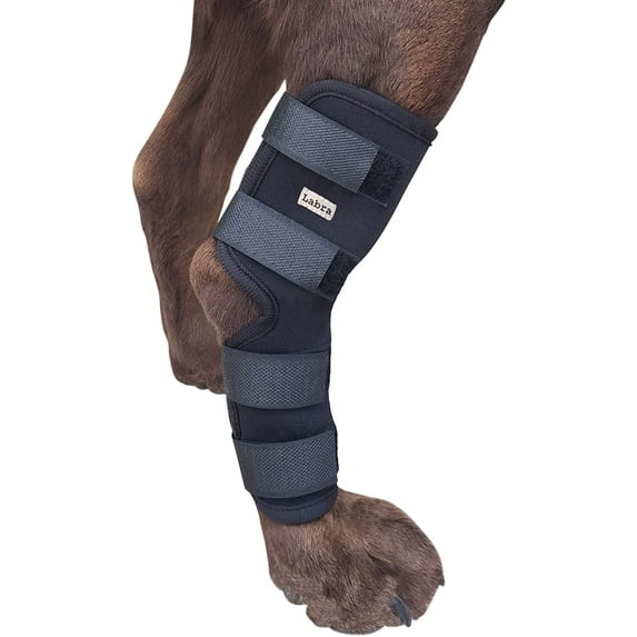 Labra Extra Supportive Dog Canine Rear Leg Hock Joint Wrap Protects ...