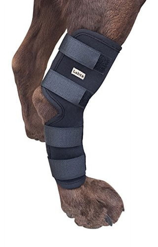 Labra Extra Supportive Dog Canine Rear Leg Hock Joint Wrap Protects Wounds as They Heal ...