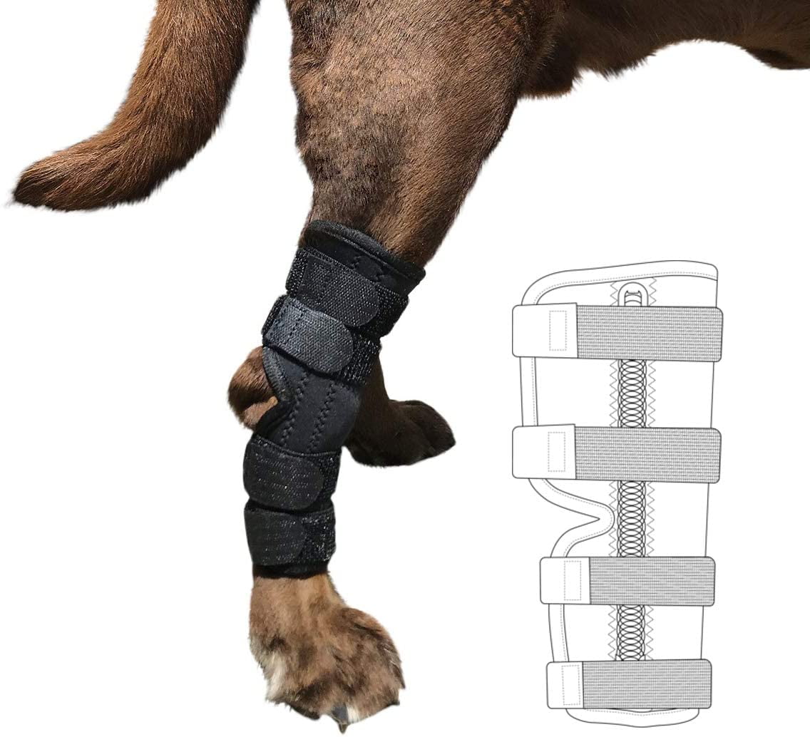 Labra Supportive Dog Rear Leg Hock Joint Wrap Brace with Metal Springs ...