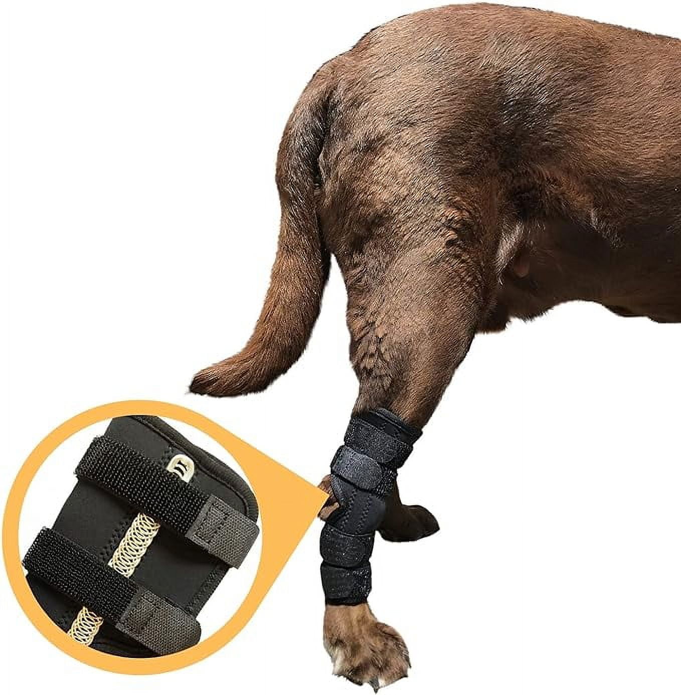 Labra Supportive Dog Rear Leg Hock Joint Wrap Brace with Metal Springs ...
