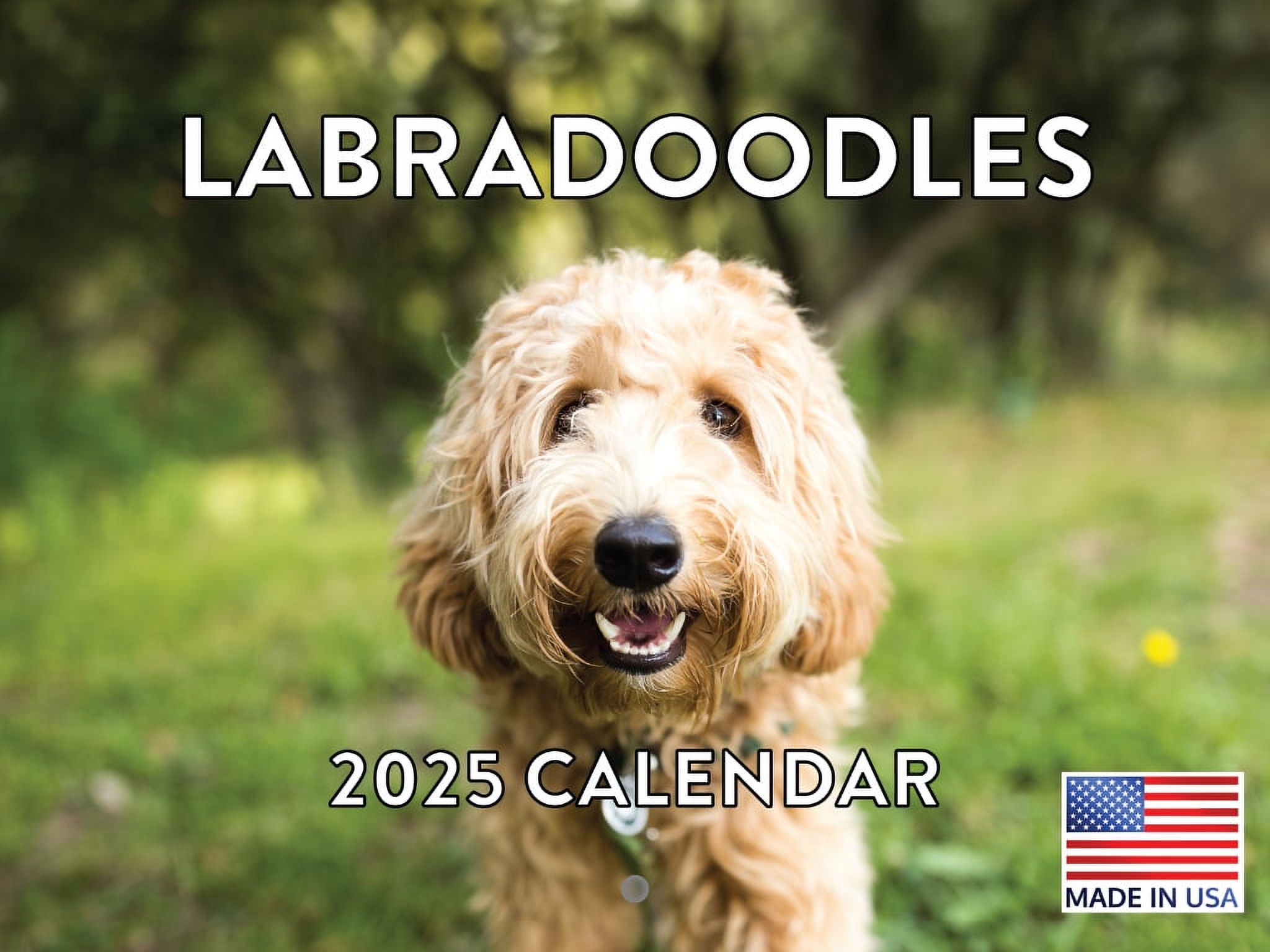 Labradoodle Calendar 2025 Monthly Wall Calender 12 Month | American ...