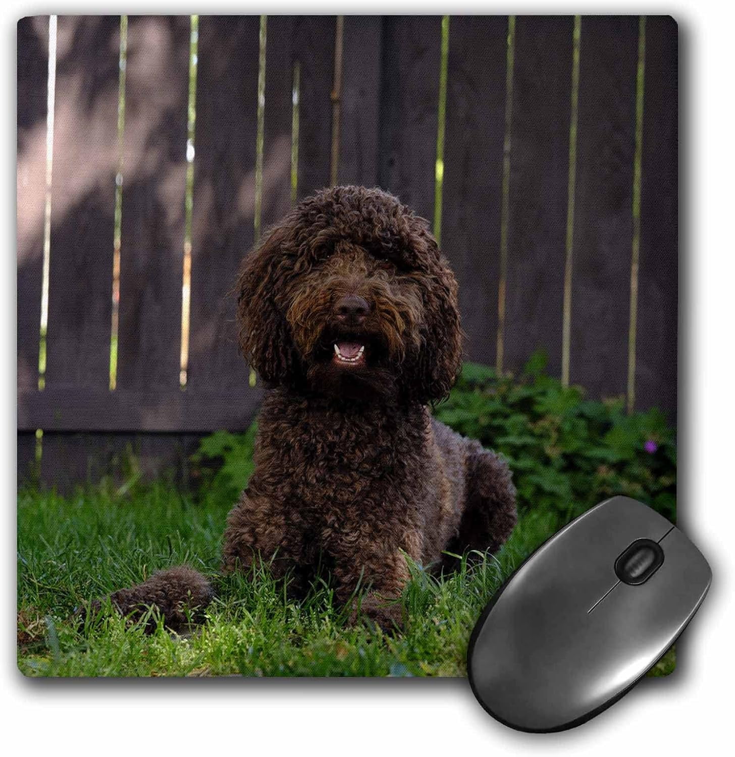 Labradoodle Playing in Backyard, Mouse Pad (mp3671381) - Walmart.com