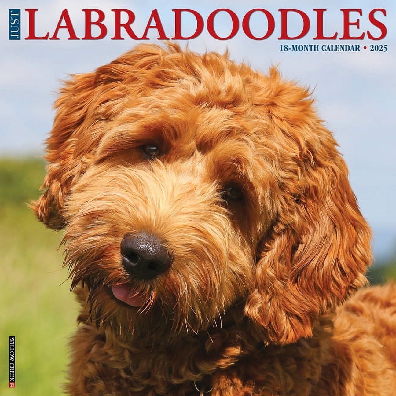 Labradoodles 2026 12 X 12 Wall Calendar, (Hardcover) - Walmart.com