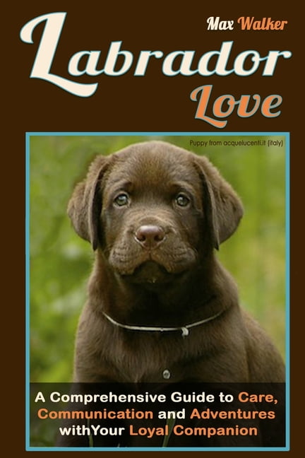 Labrador Love: A Comprehensive Guide to Care, Communication, and ...