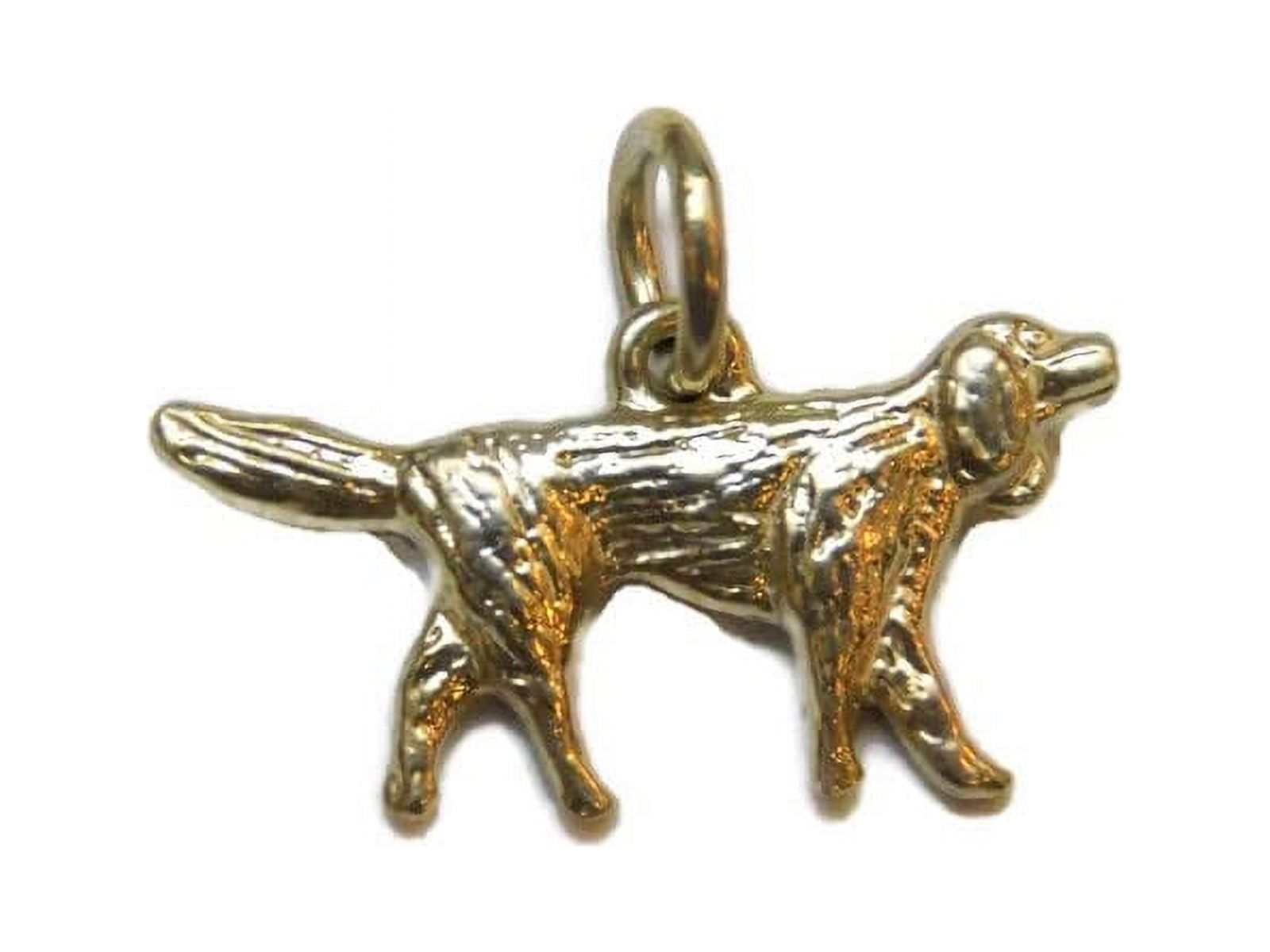 Labrador Retriever Dog Charm Pendant 14k Yellow Gold - Walmart.com