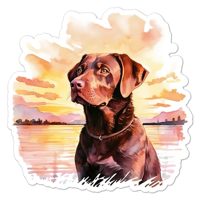 Labrador Retriever Dog Sticker Indoor Outdoor Phone Decal Water Bottle ...