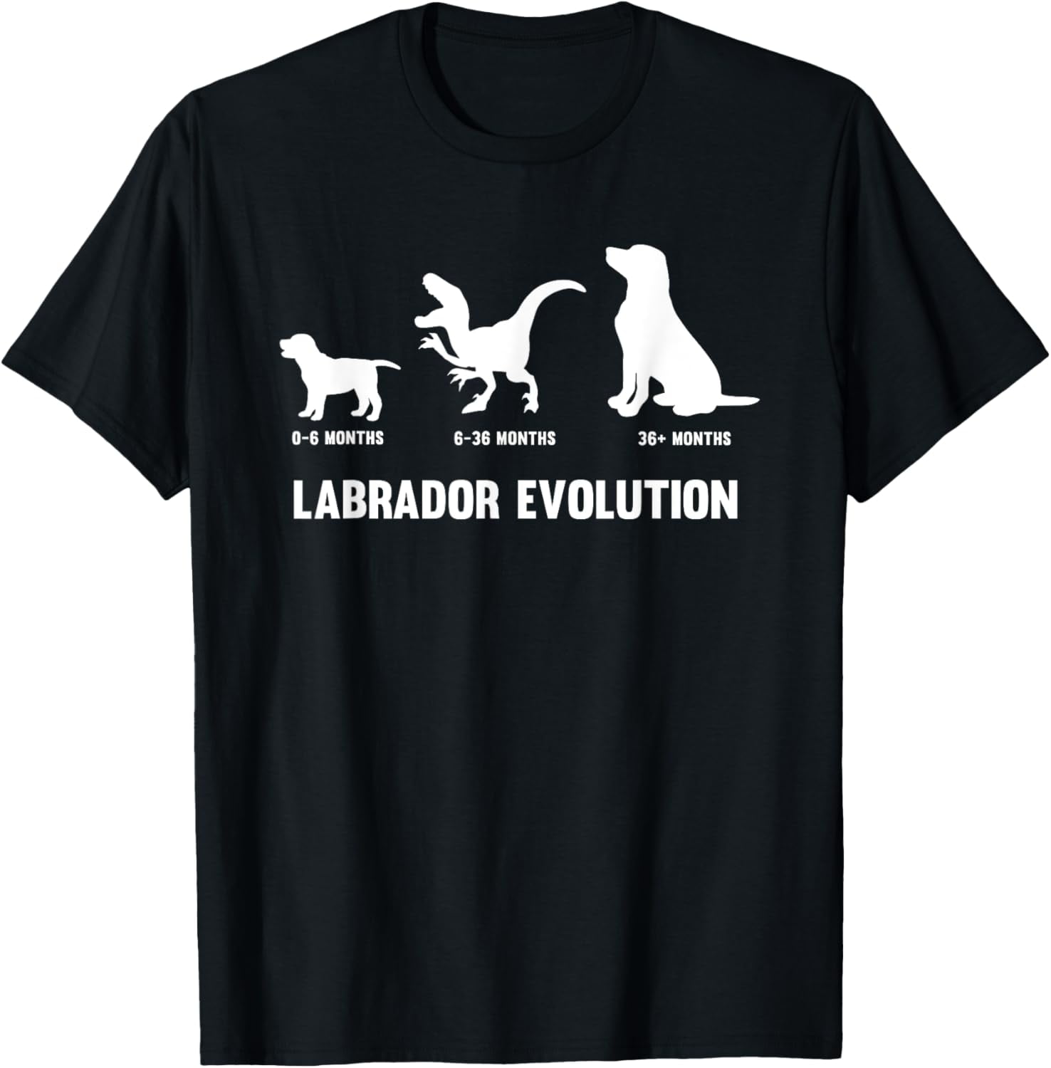 Labrador Retriever Evolution Design for a Labrador Owner T-Shirt men ...