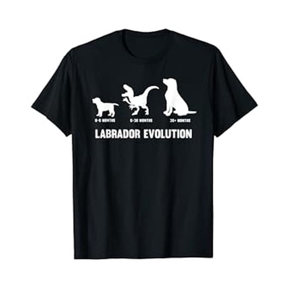 Labrador Retriever Evolution Design for a Labrador Owner T-Shirt ...