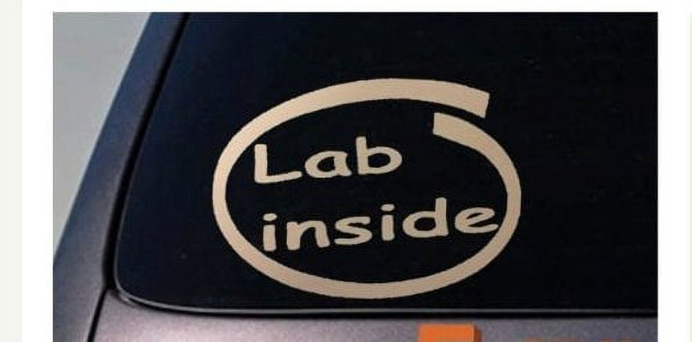 Labrador Retriever Lab Decal Sticker Car Window 6" *A024* - Walmart.com