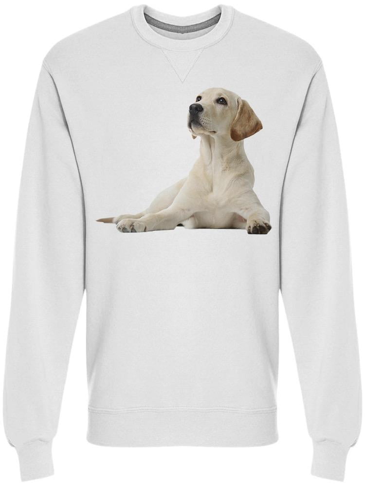 Labrador Retriever Lying Sweatshirt Men -Image by Shutterstock, Male ...