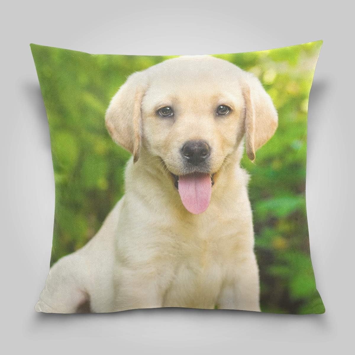 Labrador Retriever Puppy in The Yard Velvet Oblong Lumbar Plush Throw ...