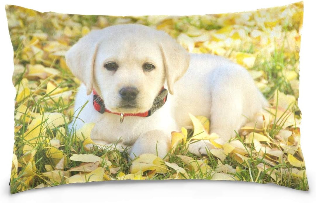 Labrador Retriever with Red Collar Velvet Oblong Lumbar Plush Throw ...